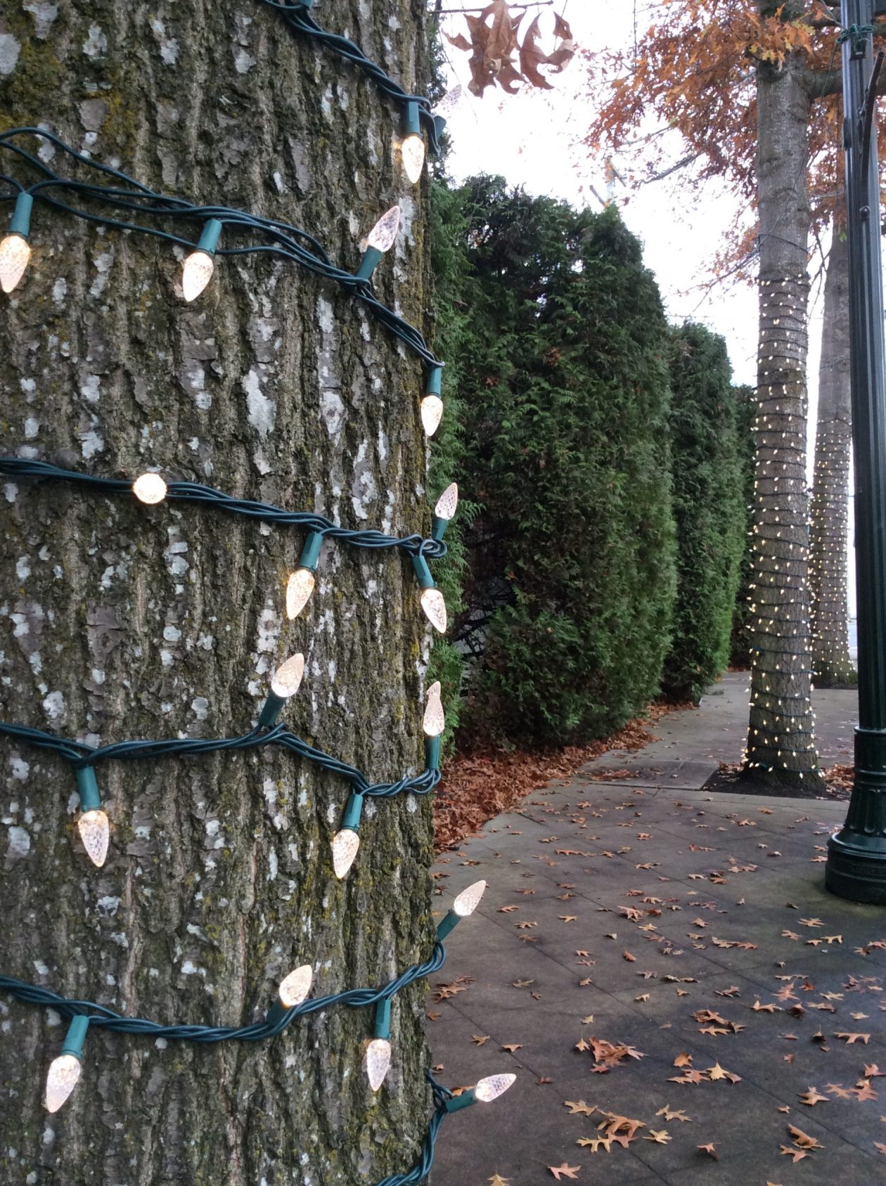 Light Up Ladner | Ladner Business Association